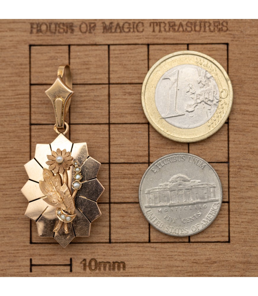 Rare French Antique floral locket - antique pendant - horse head mark